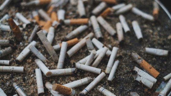 La Cigarette Une Catastrophe Pour La Planète L Ecorevue De Presse
