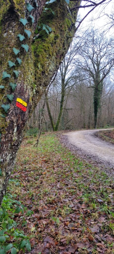 Que sont les nudges, expérimentés pour préserver la nature près de ...